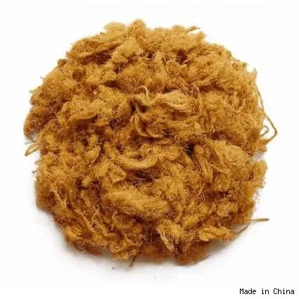 Imported Pork Floss / Meat Floss ORIGINAL | Lazada PH