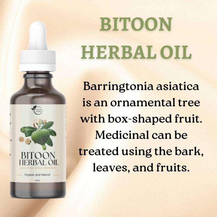Bitoon Pure Extract Herbal Oil Pang Alis ng Bukol Goiter Tumor Cysts ...