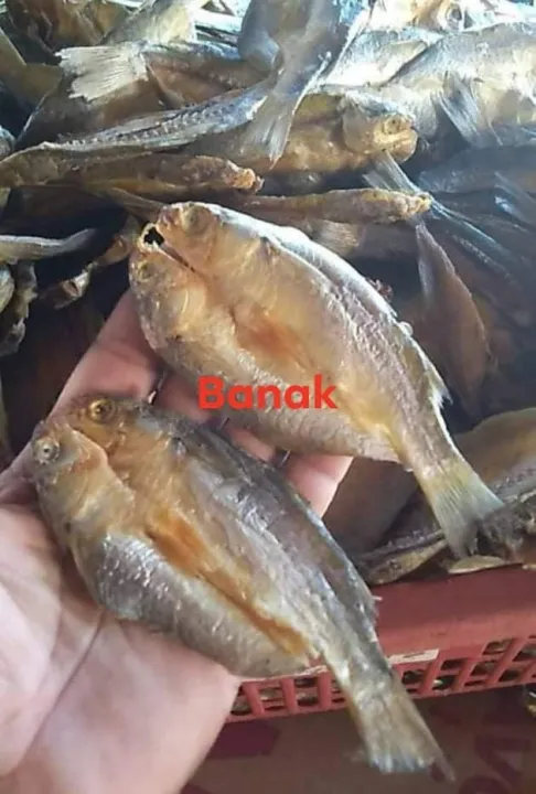 Dried Fish Banak | Lazada PH