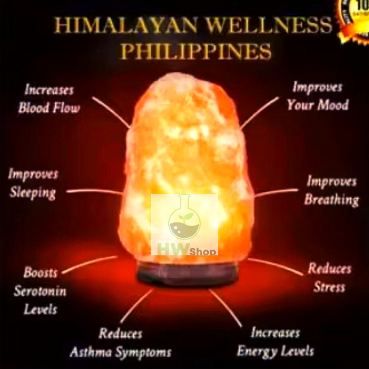 Himalayan Salt Lamp | Lazada PH