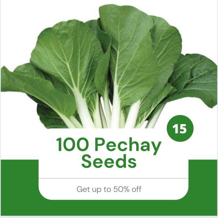 Pechay 100 Seeds Outdoor Garden Plant | Lazada PH