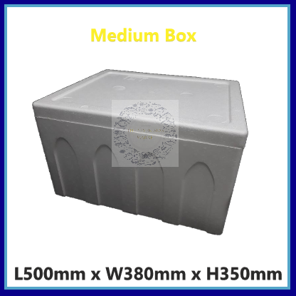 Styrofoam Ice Box / Cooler Box / Picnic box / Foam Box Fish Box / Tong ...