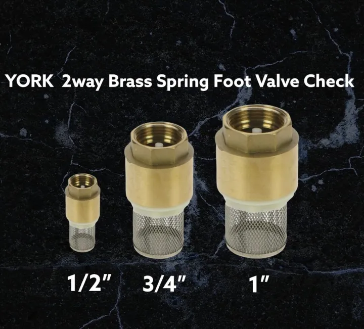 ITALY "YORK" 2 Way Brass Spring Foot Valve Check Valve Pump Inlet ...