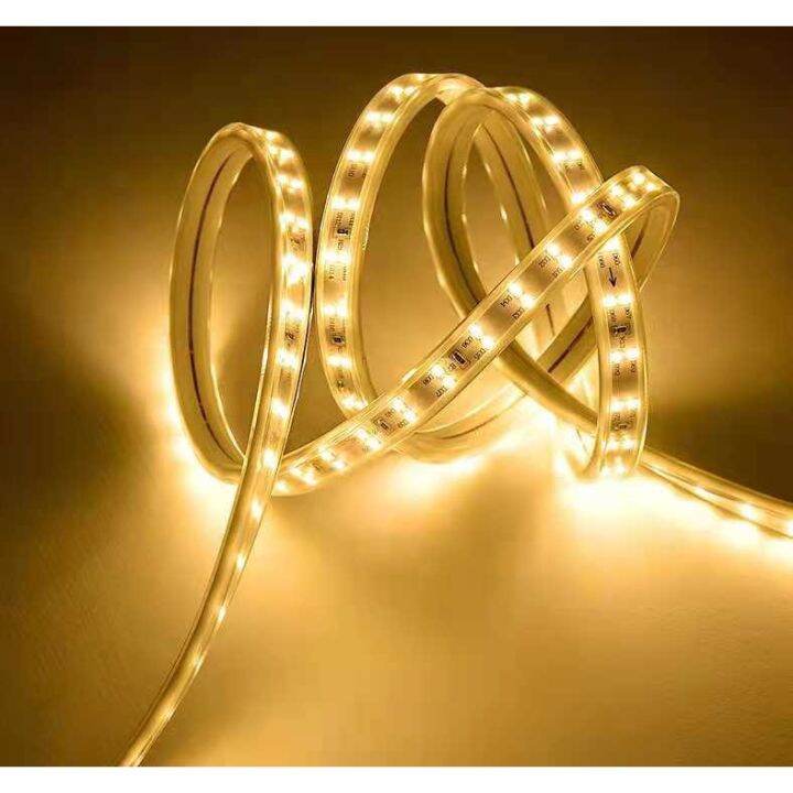 15 Meter with free plug - 220v Strip Double led Waterproof Cove light ...