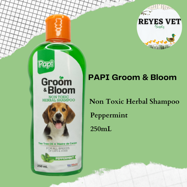 [VET SUPPORT] 1PC PAPI GROOM & BLOOM Non Toxic Shampoo 250ml Peppermint ...