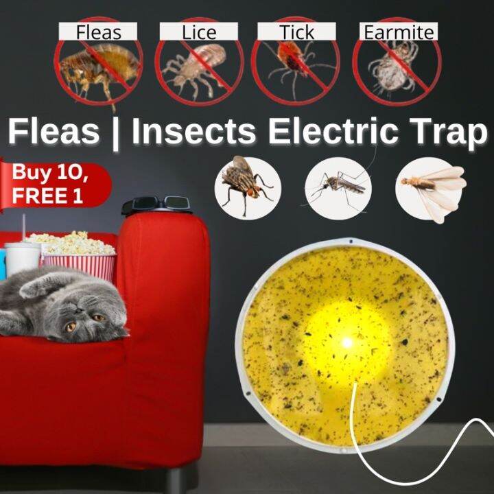 Perangkap Kutu Hama Lalat Serangga Flea Traps Insect Trap Insect Killer ...