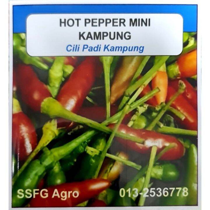 BENIH CILI PADI KAMPUNG (50 biji) | Lazada