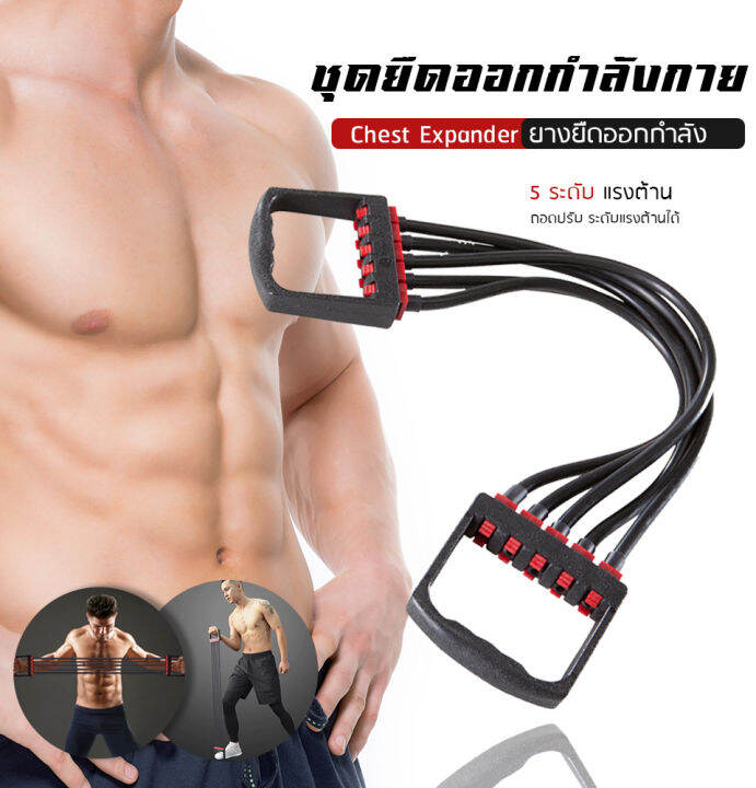 Chest Expander ยางยืดออกกำลังกาย 5 ระดับ ยางยืดออกกำลัง บริการร่างกาย ...
