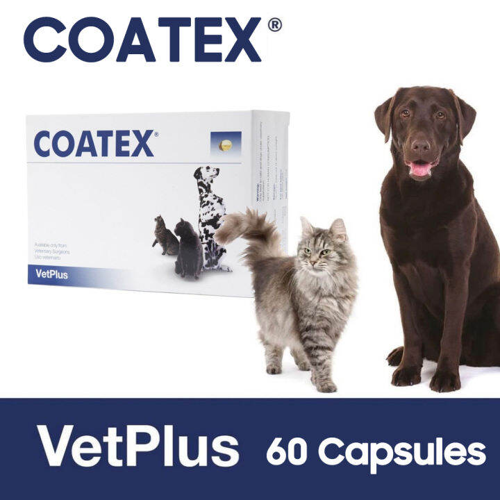 VetPlus Coatex Softgels 1box for dogs and cats | Lazada PH