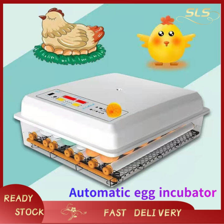 【STAR】Egg incubator fully automatic/Incubator for egg chicken/Incubator parts complete set for ...