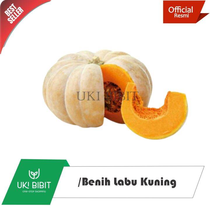 ( 1 Kg ) Biji Labu Kuning | Lazada Indonesia