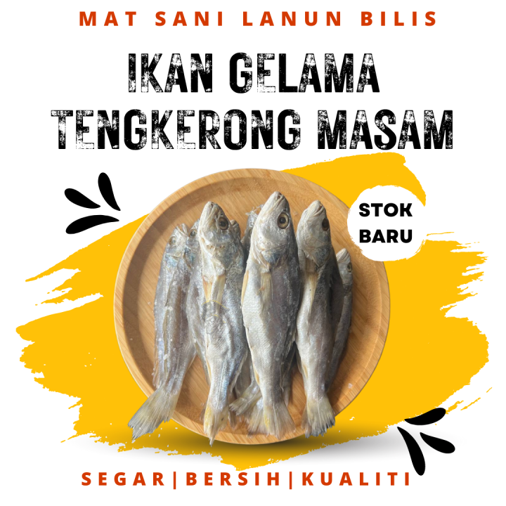 Ikan Gelama Tengkerong Masam | Salted Croacker Fish | Lazada