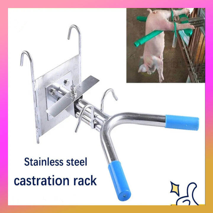 HOK 1 Set Stainless steel piglet castration frame castration tools for ...