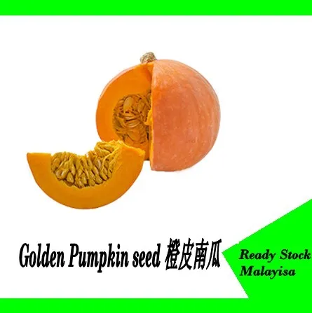 Vegetables Golden Pumpkin seed 橙皮南瓜种子Biji Benih Labu Oren Sayur-Sayuran ...