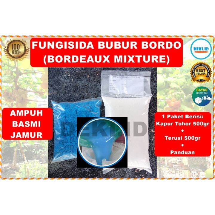 Bubur Bordo Bordeaux Mixture Paket Bahan Fungisida Kapur Tohor Cao ...