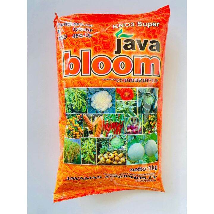Pupuk kno3 super JAVA BLOOM isi 1kg dari JAVAMAS AGROPHOS | Lazada ...