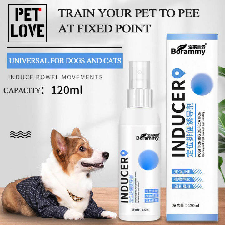 Borammy Pet Toilet Training for Dogs and Cats Inducer Spray Inducer Toilet Aide Training Puppy ...
