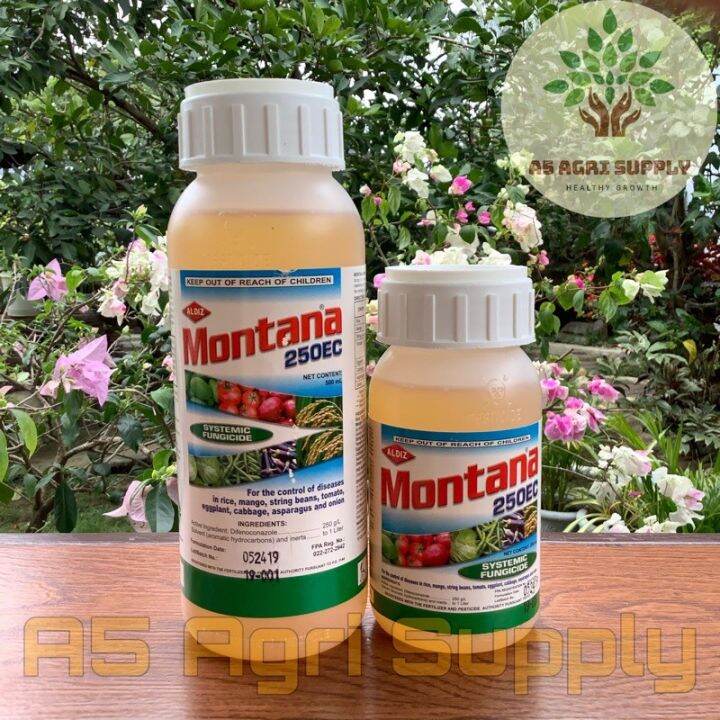 Montana 250EC Systemic Fungicide Difenoconazole easy to use | Lazada PH