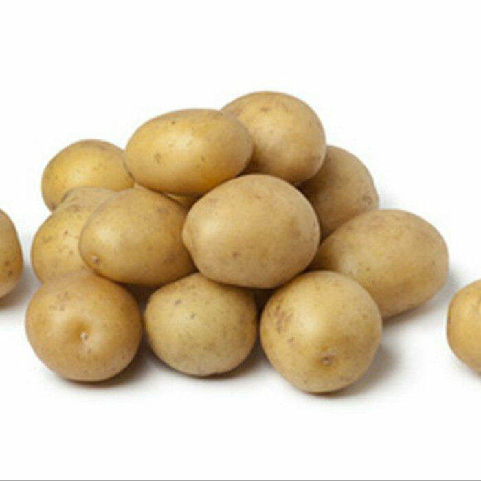 Kentang kecil Fresh 1 kg | Lazada Indonesia