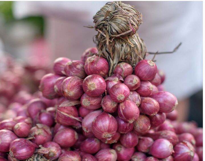 Fresh Shallots / Native Sibuyas / Lasuna | Lazada PH