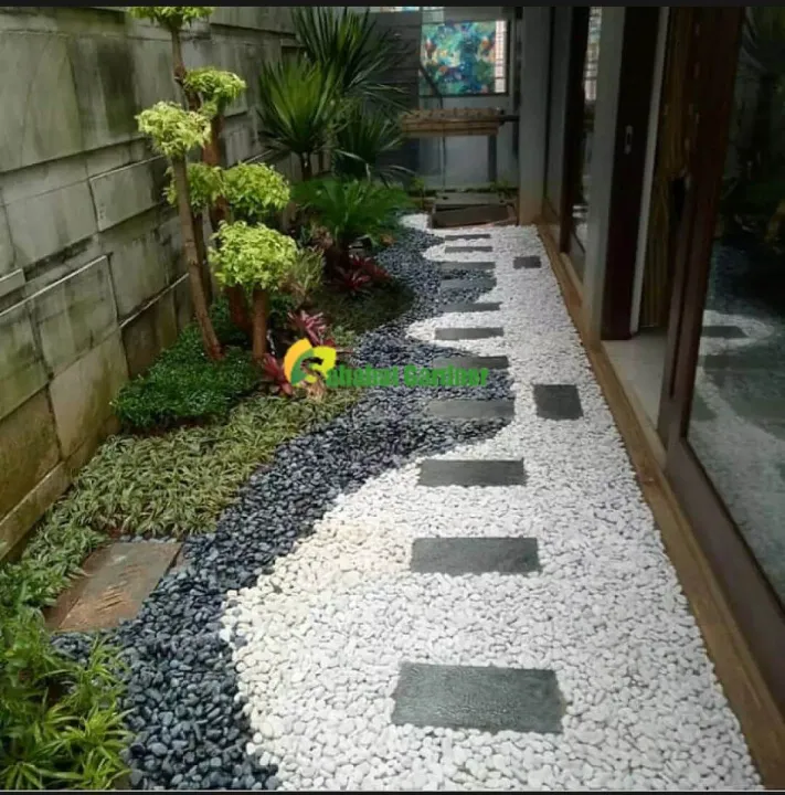 batu koral/kupang putih untuk hiasan taman 10 kg | Lazada Indonesia