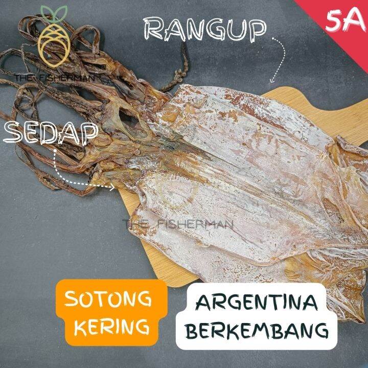 Sotong Rendam Argentina Sotong Kembang Sotong Kering Argentina Dried ...