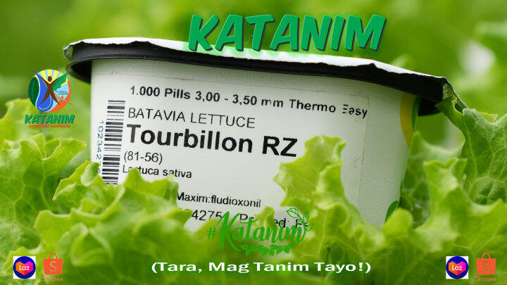 Tourbillon RZ seeds 1 tub by Rijk Zwaan (1000 seeds) | Lettuce ...