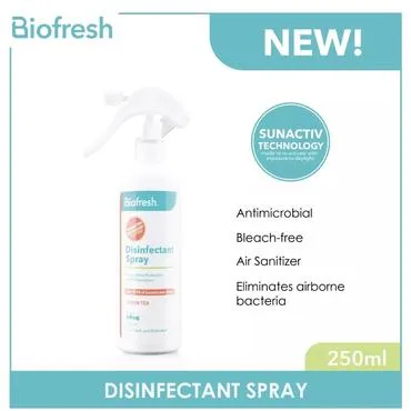 BioFresh Disinfectant Spray (250ml) | Lazada PH