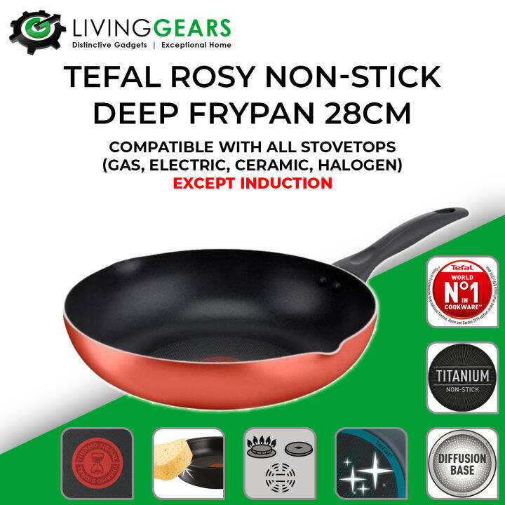 Tefal Rosy Non-Stick Deep Frypan (28cm) for Gas/Electric/Ceramic/Halogen | Lazada