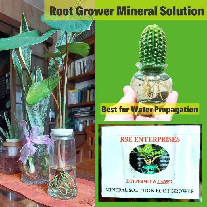 RSE Root Grower Mineral Solution (Best for Water Propagation) | Lazada PH
