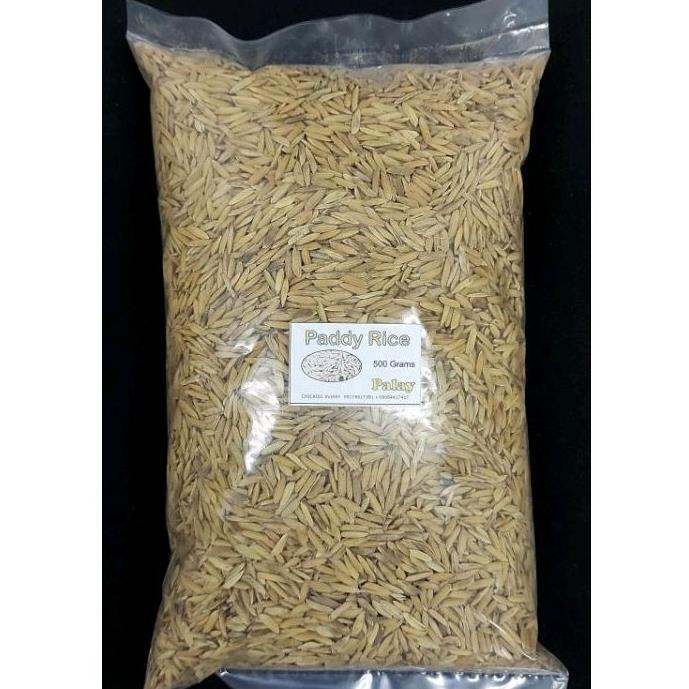 Palay / Paddy Rice for Birds 500 grams | Lazada PH