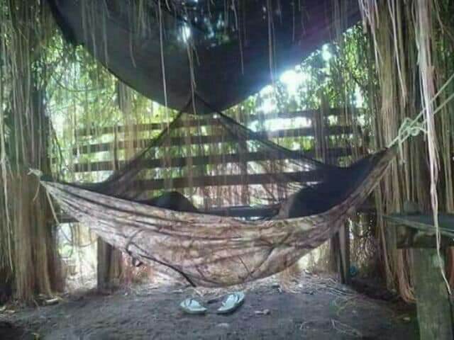 camping Hammock / Military Duyan Army Duyan 7ft | Lazada PH