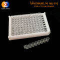 Zigma science - Detachable ELISA Plate, ไมโครเพลท, ไมโครเวลเพลท, ไมโคร ...