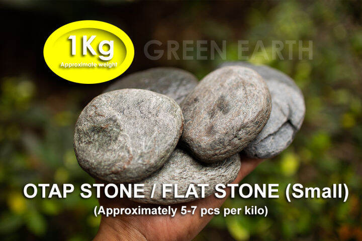 GREEN EARTH/ SMALL OTAP STONE / FLAT OVAL STONE (1 Kilo) / for Landscaping and Aquascaping. Used ...