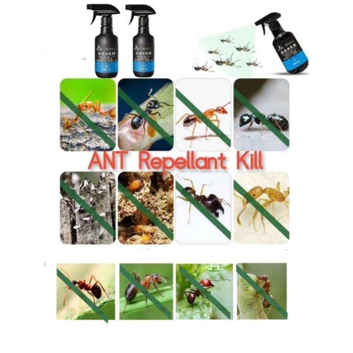 300ml Ant Killer Spray Ant Repellant Kill Ant Killing Bait Ubat semut ...