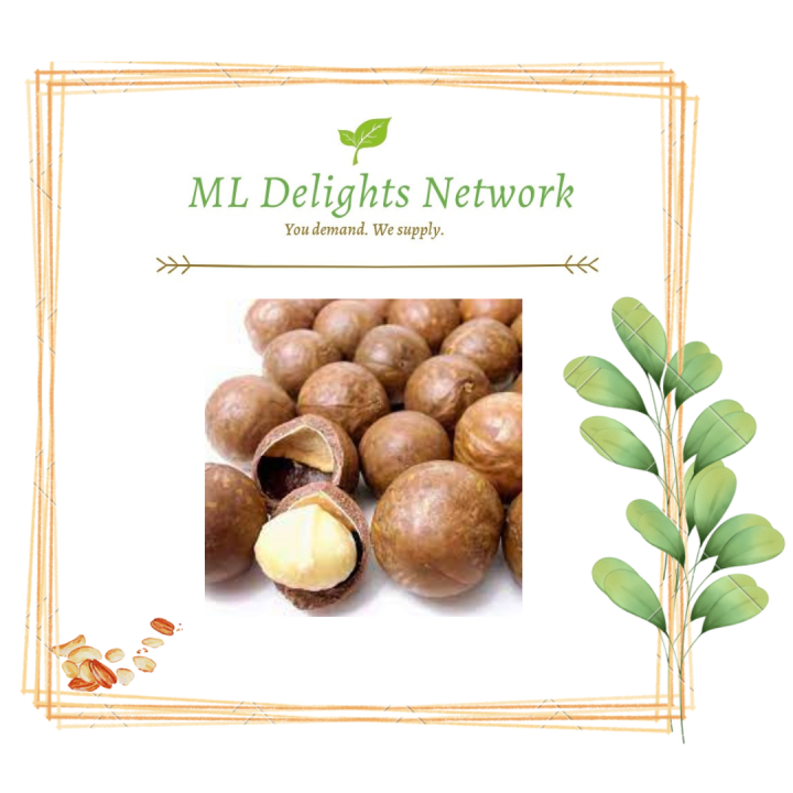 Macadamia Nut with shell 500gm 1kg | Lazada