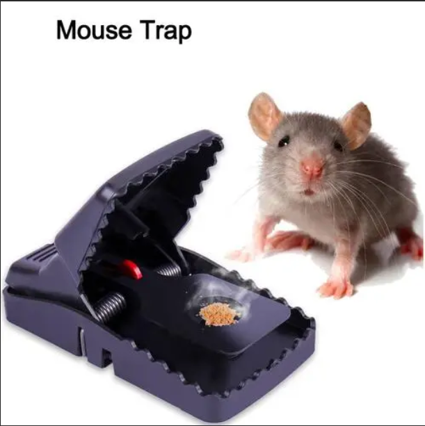 Fly Word Mouse artifact continuous clip clip to send home to catch the mouse cage to catch the ...