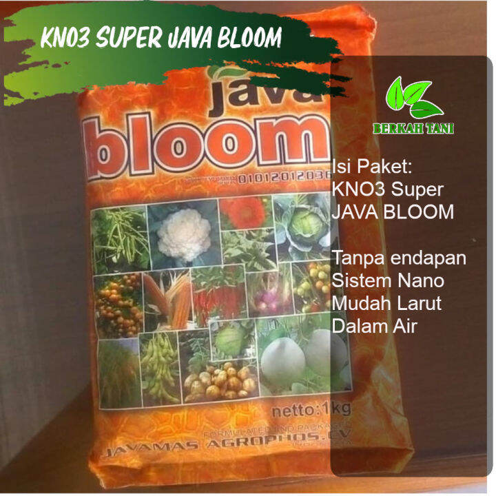 Java Bloom 500 Gram Pupuk KNO3 Pembuahan | Lazada Indonesia