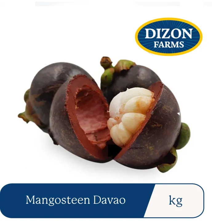 Dizon Farms - Mangosteen Davao / kg | Lazada PH