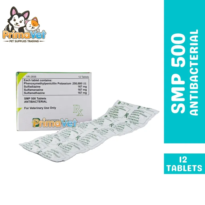 SMP 500 Antibacterial Tablets - (Box of 12 Tablets) | Lazada PH