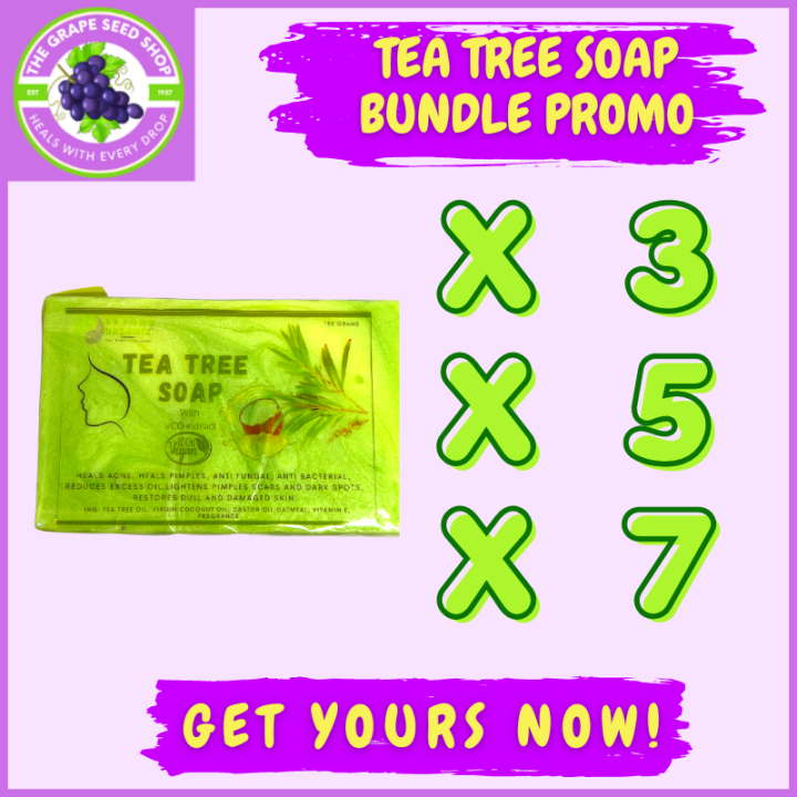 [ Natural Tea Tree Soap ] Anti Acne Tea Tree Soap Bundles Anti Acne