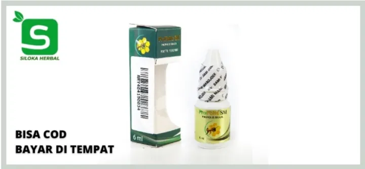 Propolis SM - Propolis SM Original - Herbal Alami - Obat Sakit Gigi ...