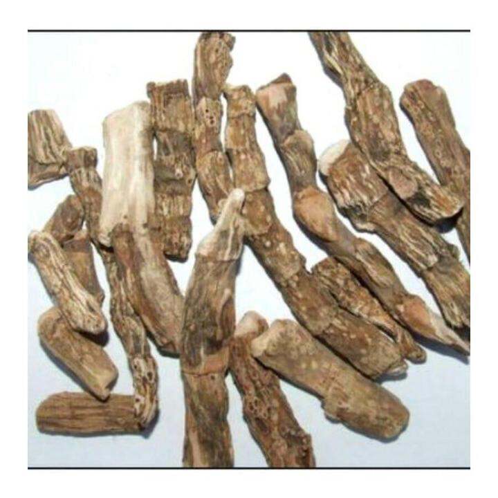 Jerangau Putih Kering 70gm | Lazada