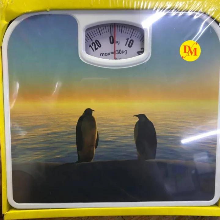 Manual Adjustable Scale for Weight No choosing Design | Lazada PH