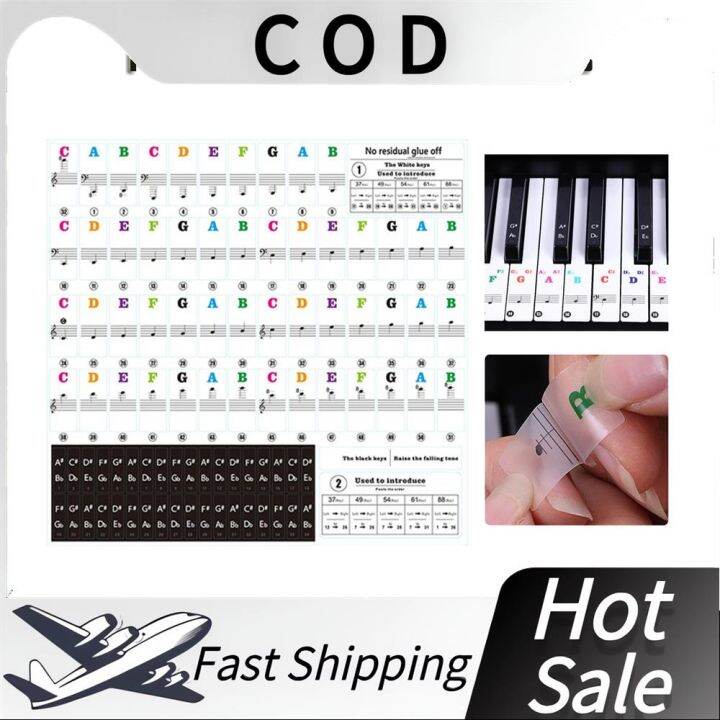 Recommended Rixton Keyboard for 37/49/54/61/88 keys Detachable Notes ...