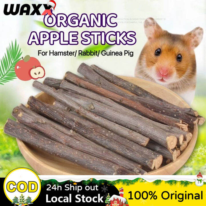 Hamsters Sticks 50g Organic Sticks Hamsters Natural Molar Snacks Small ...