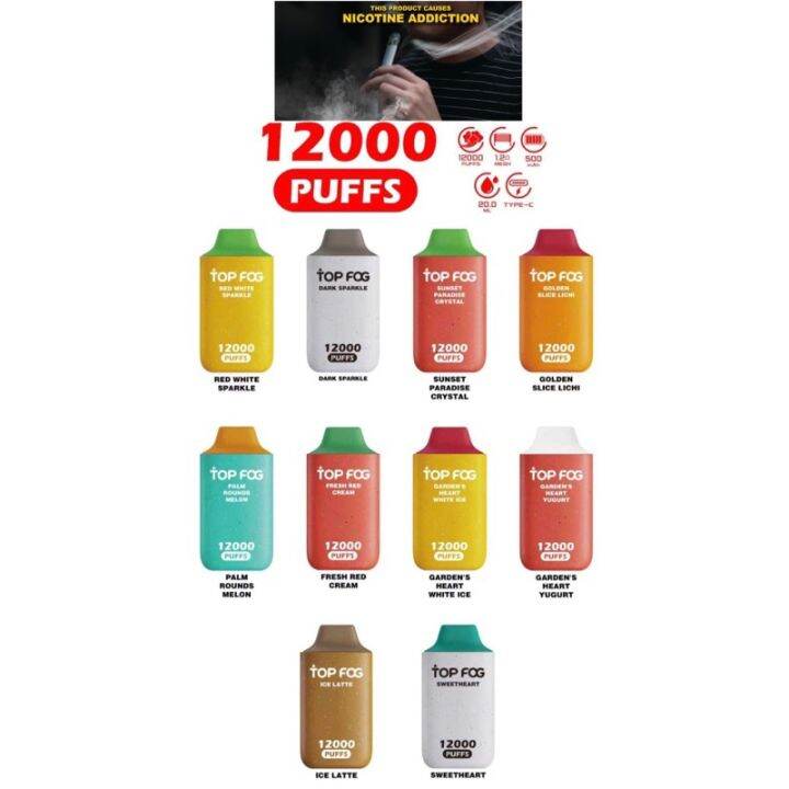 vape Top Fog Fat 12000 Puffs Disposable Vape | Lazada PH