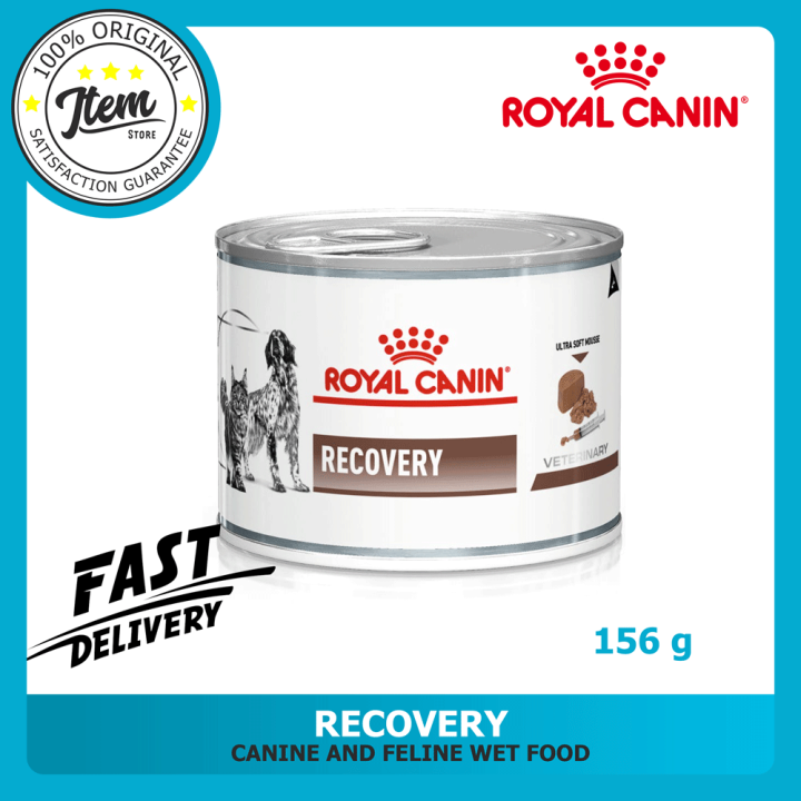 ROYAL CANIN RECOVERY CANINE AND FELINE WET FOOD 1CAN | Lazada PH