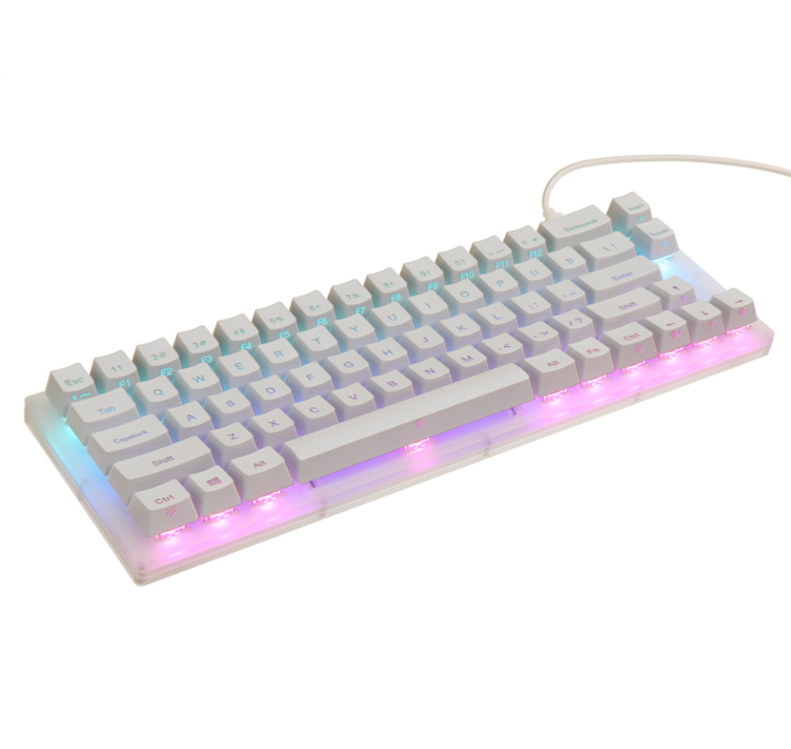 GamaKay K66 Mechanical Keyboard 66 Keys RGB Tyce-C Wired Gateron Switch ...