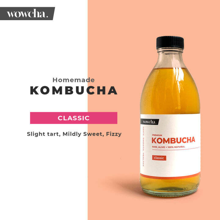 WOWCHA Homemade Kombucha Drink Tea 300ml (Raw, Original, Natural ...